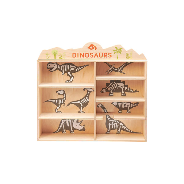Dinosaurs Display Shelf